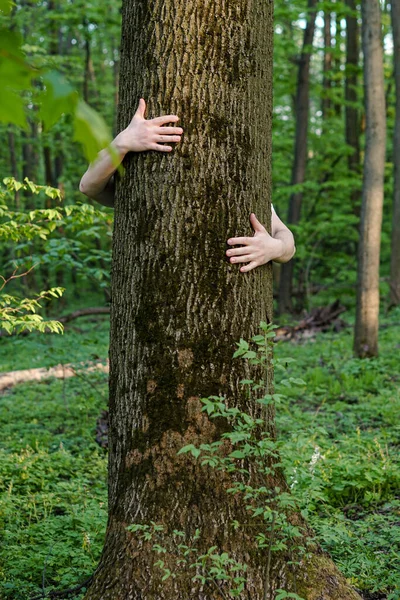Tree hugging woman Stock Photos, Royalty Free Tree hugging woman Images ...