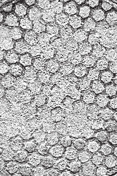 100,000 Skin epidermis dermis Vector Images | Depositphotos