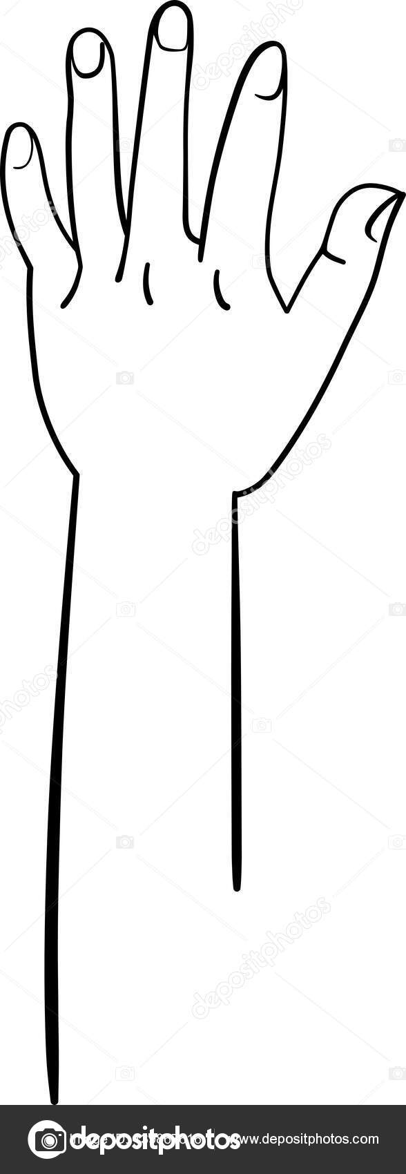 Back Of Hand Line Drawing