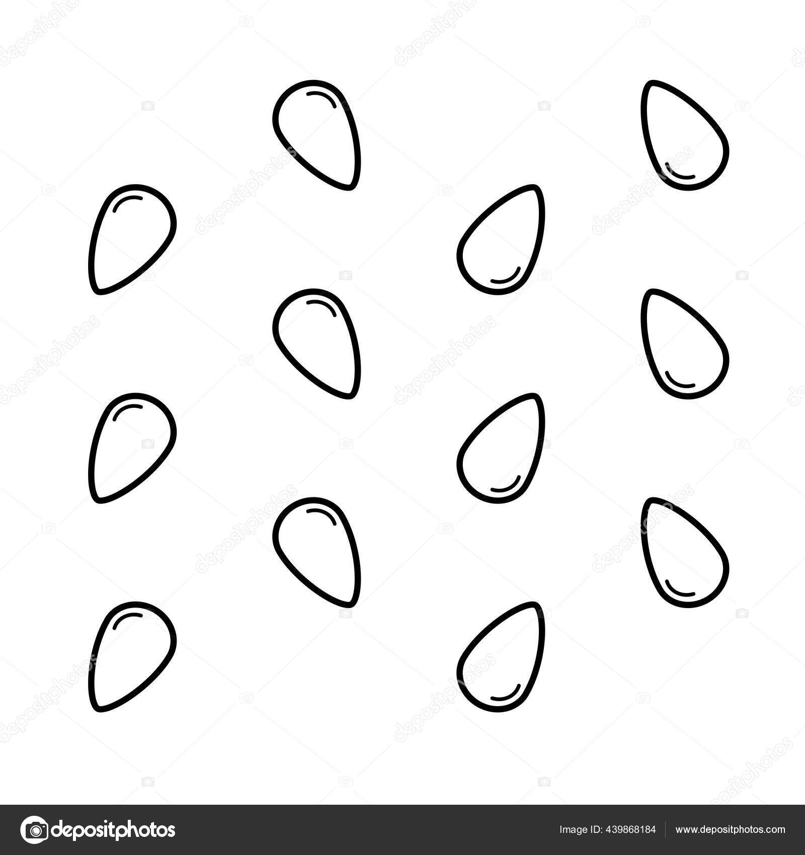 Watermelon Seed Pattern