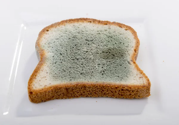 ᐈ Moldy bread stock pictures, Royalty Free moldy bread images ...