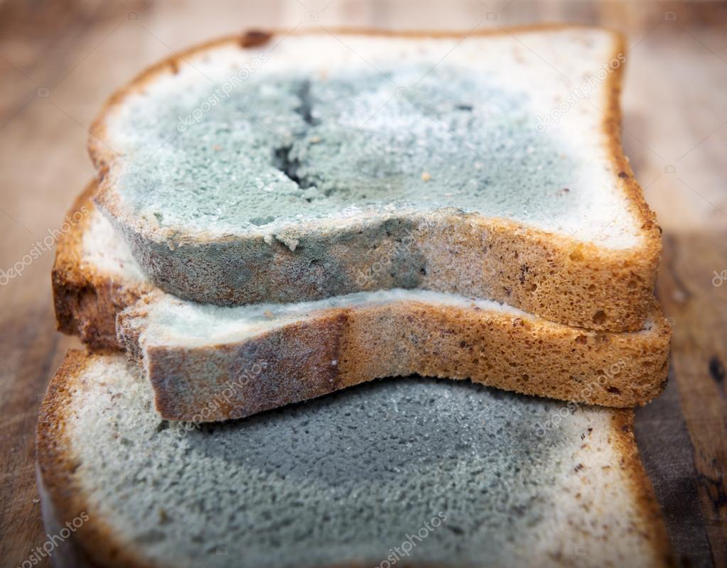 Moldiest Classic Rock Sounds | Page 2 | Steve Hoffman Music Forums