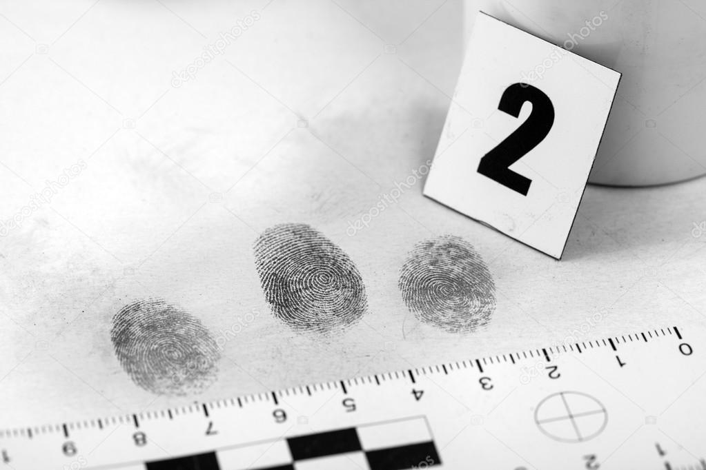 Fingerprint — Stock Photo © firea #63413969