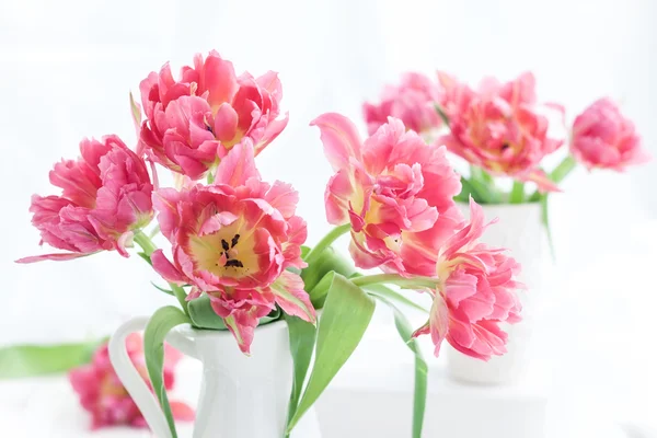 Pink double peony tulips Stock Photo by ©sarsmis 72043671
