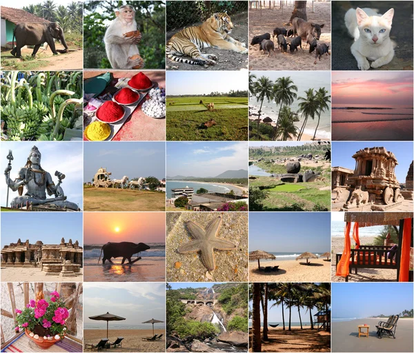 India contrast Stock Photos, Royalty Free India contrast Images ...