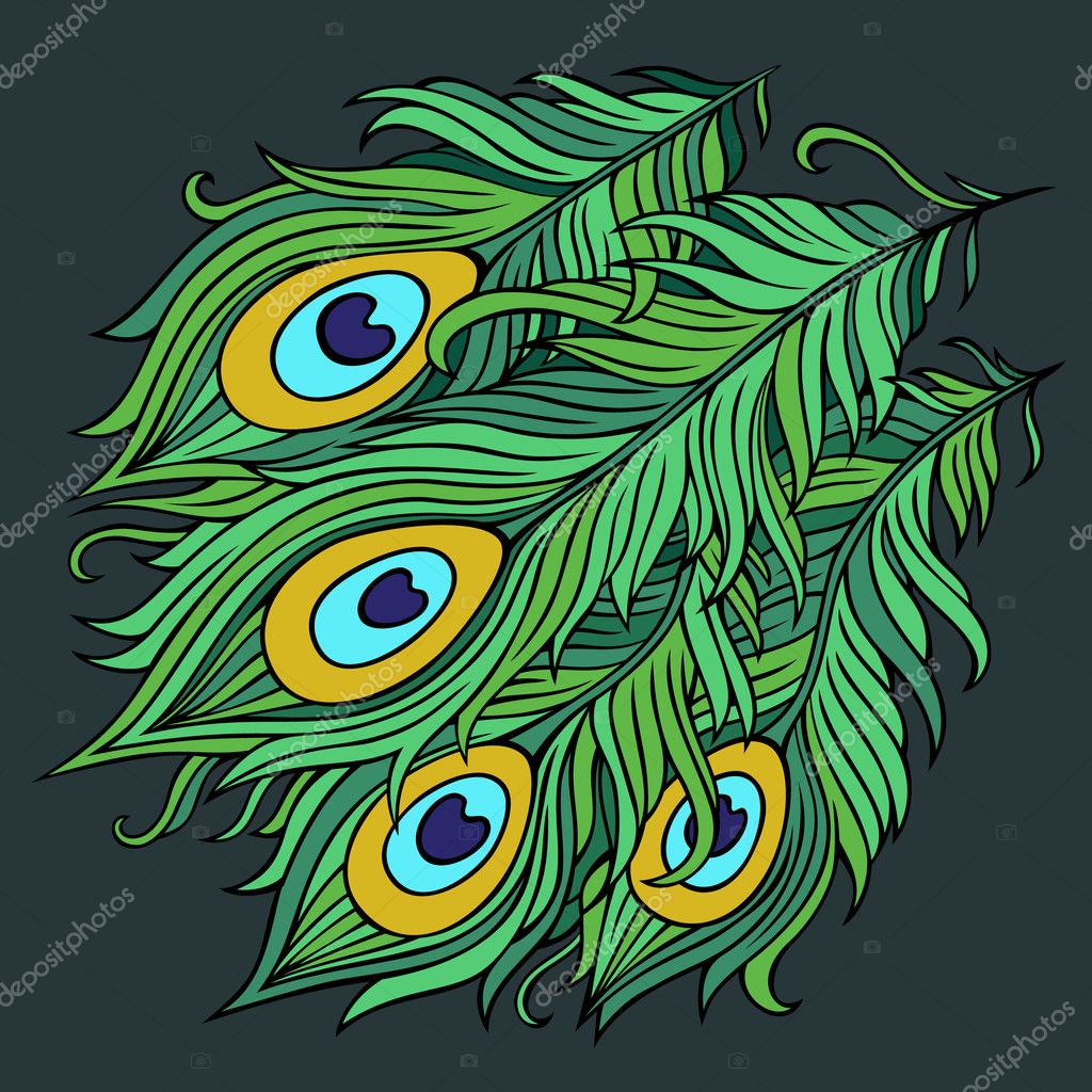 Peacock Feathers Vector Stock Vector Image By ©3dsparrow 65359997