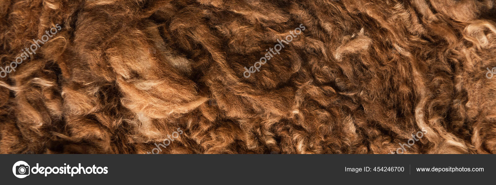 Background Brown Fluffy Artificial Carpet Top View Banner — Stock Photo ...