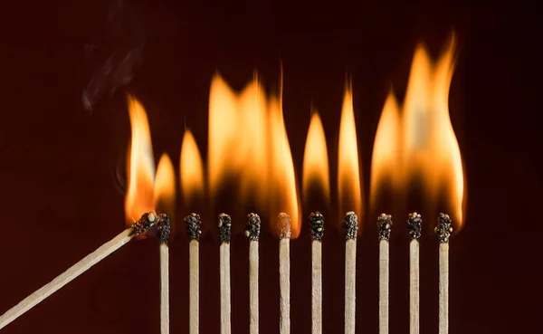 Lit match next to a row of lighting matches. Red phosphorus matches on ...