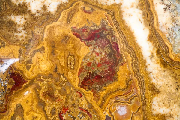 Metamorph Stock Photos, Royalty Free Metamorph Images | Depositphotos