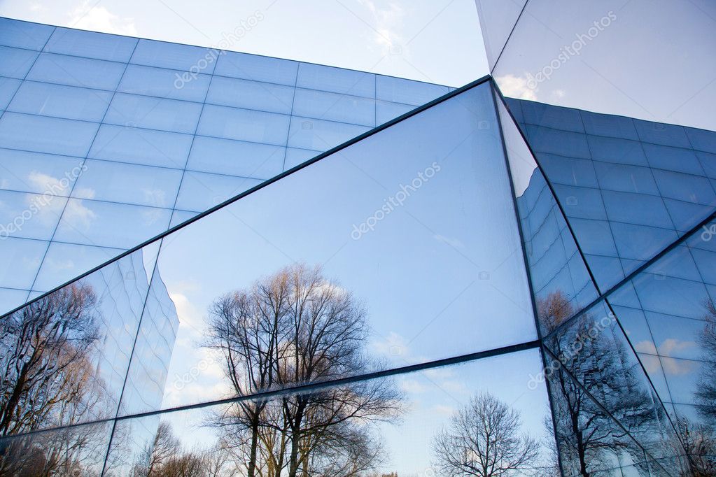 Glass Reflection Trees