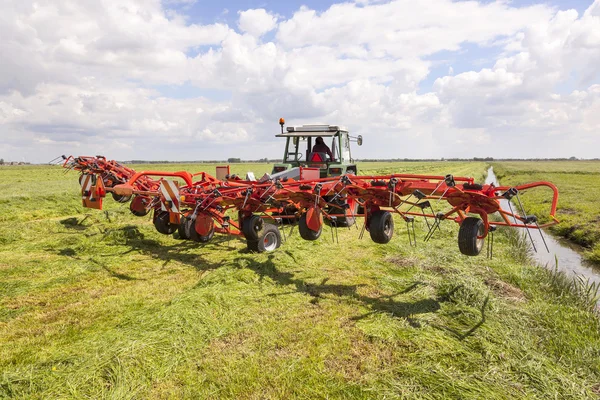 Red hay turner in green meadow in the netherlands - Stock Image ...