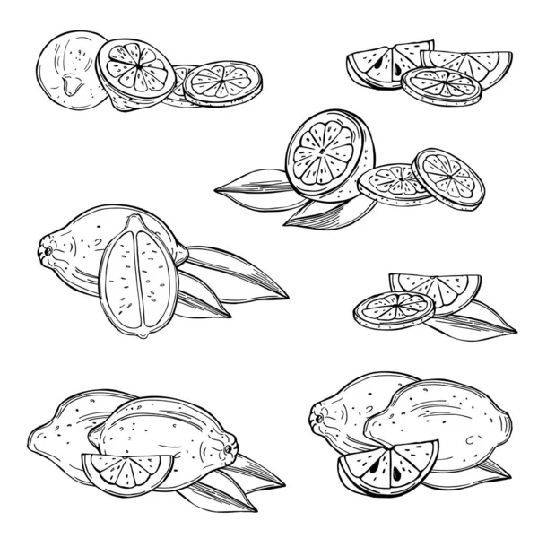 Ručně Kreslené Přípitky Bílém Pozadí Obrázek Vektorového Náčrtku Stock ...