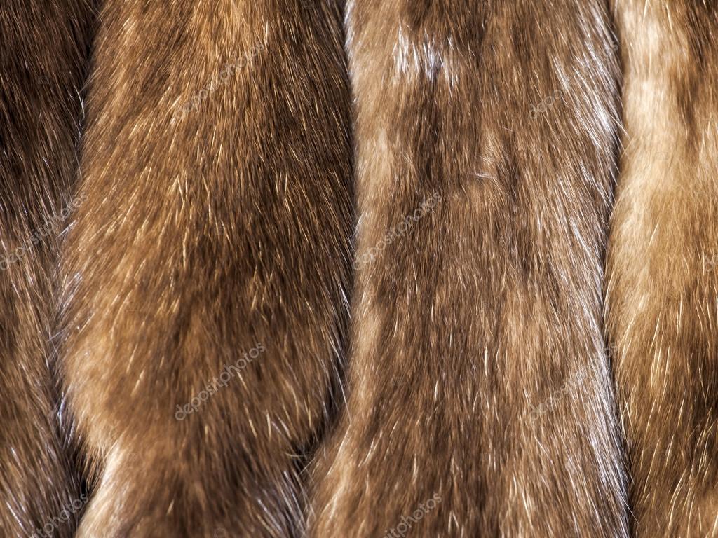 Skins of a sable Stock Photo by ©bellena 64905841