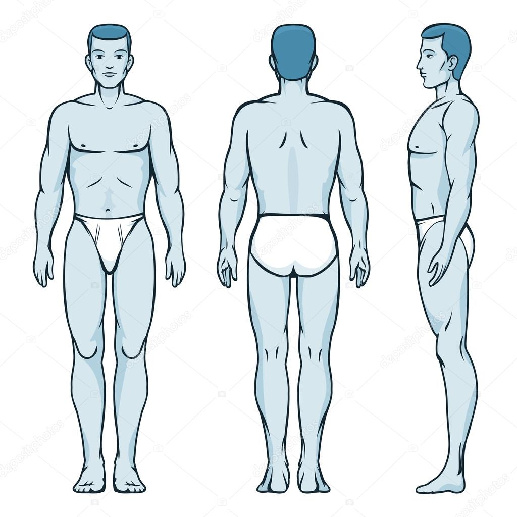 Man body model. Front, back and side human poses — Stock Vector © MSSA ... Man body model. Front, back and side human poses — Stock Vector © MSSA ...