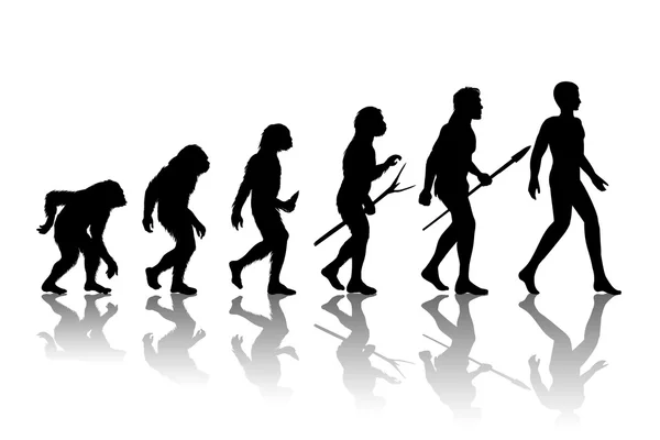 Evolution Vector Art Stock Images | Depositphotos