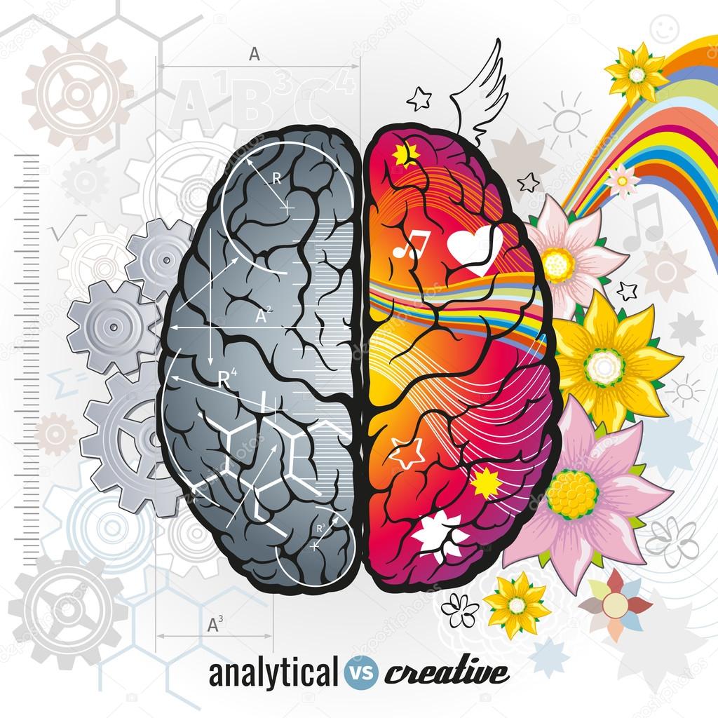 Left analytical and right creativity brain functions vector concept ...