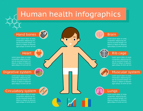 Human body medical infographics Stock Vector Image by ©K3star #62288159