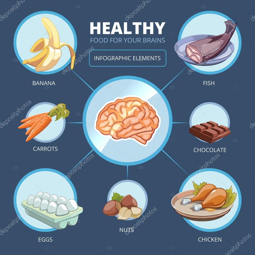 Brain food vector infographics Stock Vector Image by ©K3star #91155634