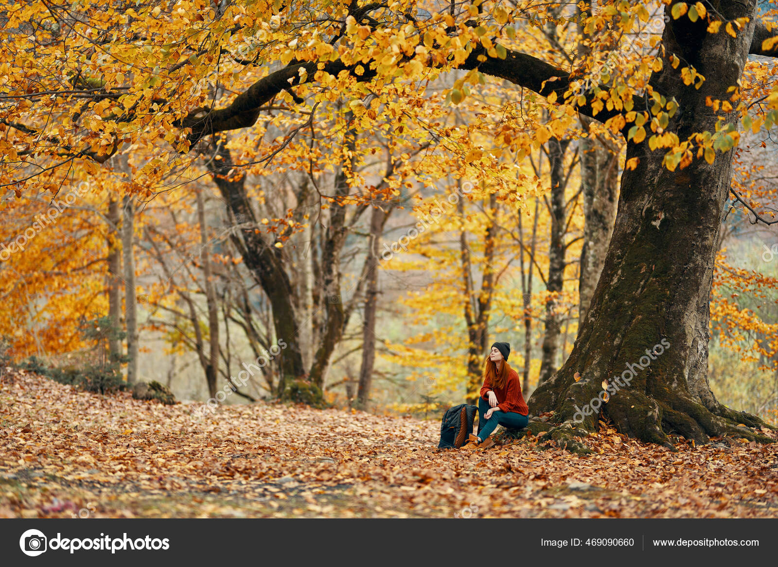 Woman hiker under a tree in autumn forest landscape yellow leaves ...