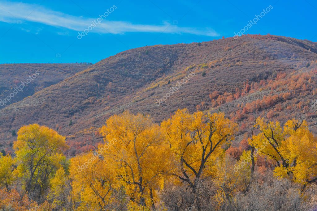 Hermosos colores de las hojas de otoño en la Cordillera de Henefer ...