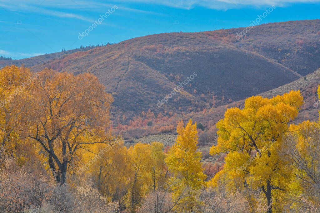 Hermosos colores de las hojas de otoño en la Cordillera de Henefer ...