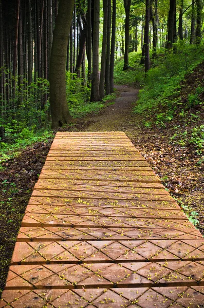 Grit pathway Stock Photos, Royalty Free Grit pathway Images | Depositphotos