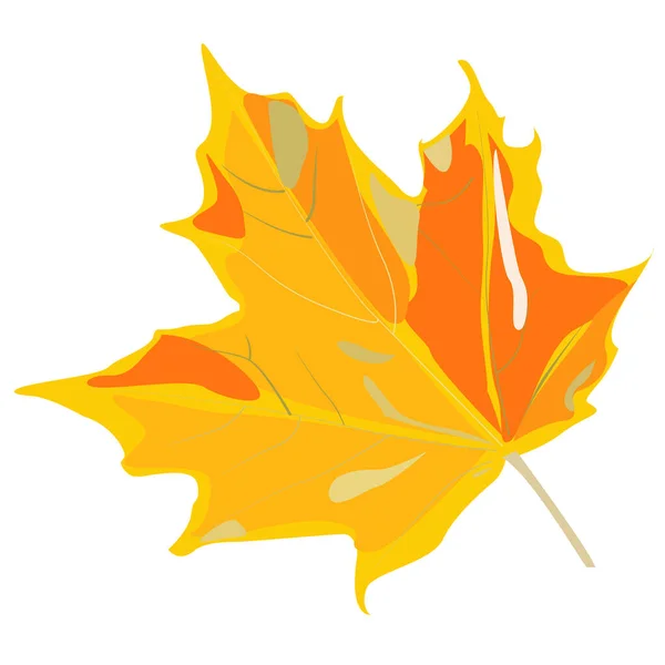 Golden leaf Stock Vector Image by ©tajim1 #2799828