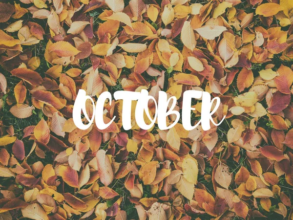 October Tumblr