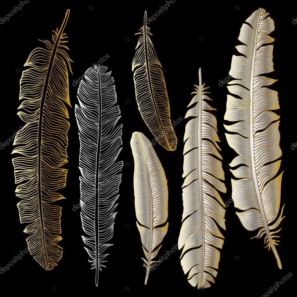 Beautiful Vintage Feathers — Stock Vector © katyaulitina #81760604