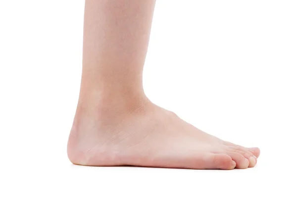 Splayfoot Stock Photos, Royalty Free Splayfoot Images | Depositphotos