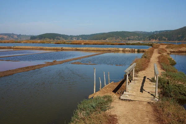 Cahuil Stock Photos, Royalty Free Cahuil Images | Depositphotos