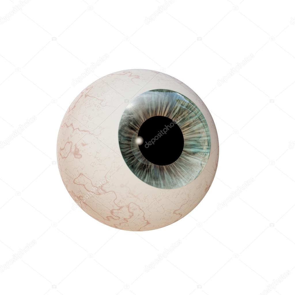 Eyeball Stock Photo by ©homeworks255 53186845