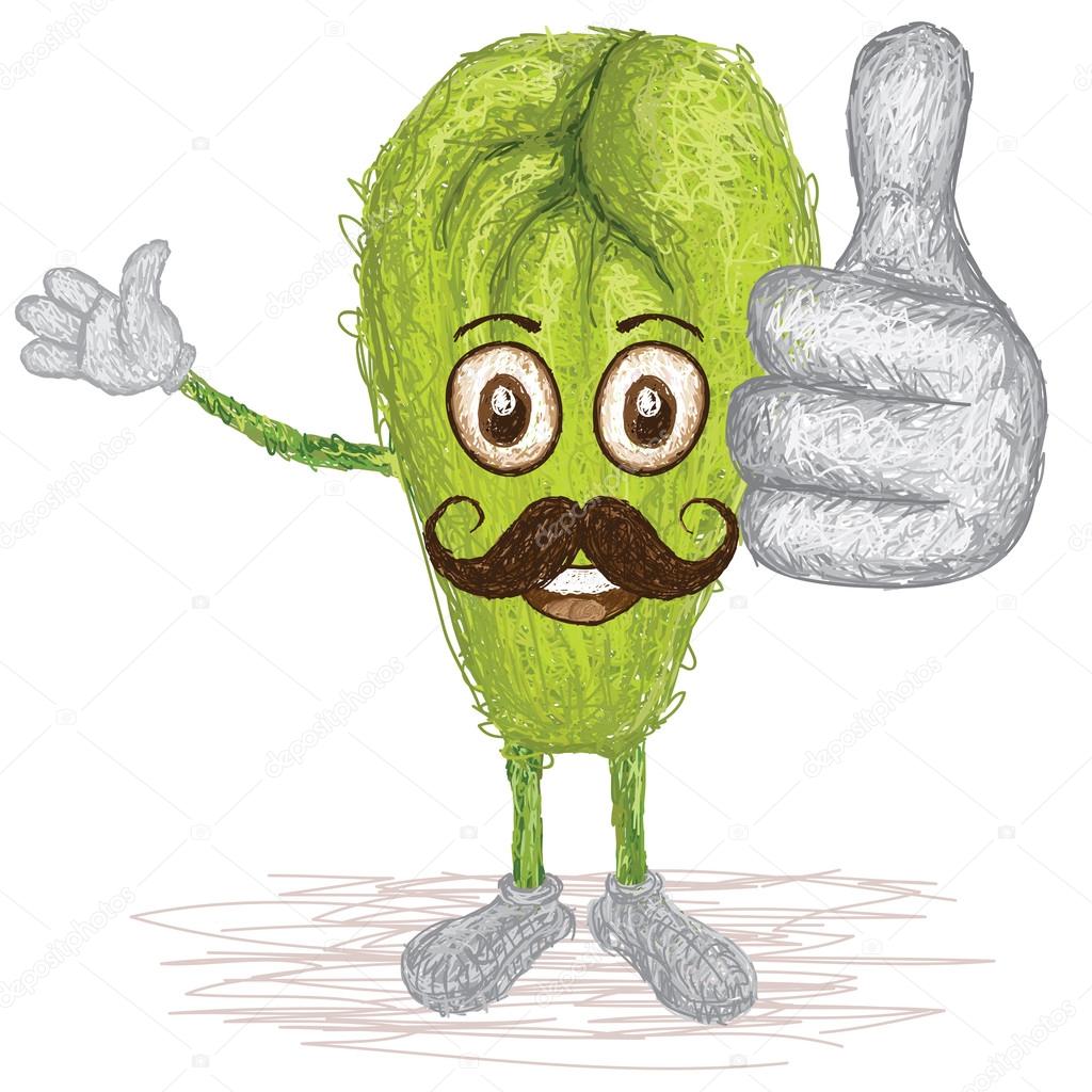 Chayote bigote vegetal vector, gráfico vectorial © jomaplaon imagen ...