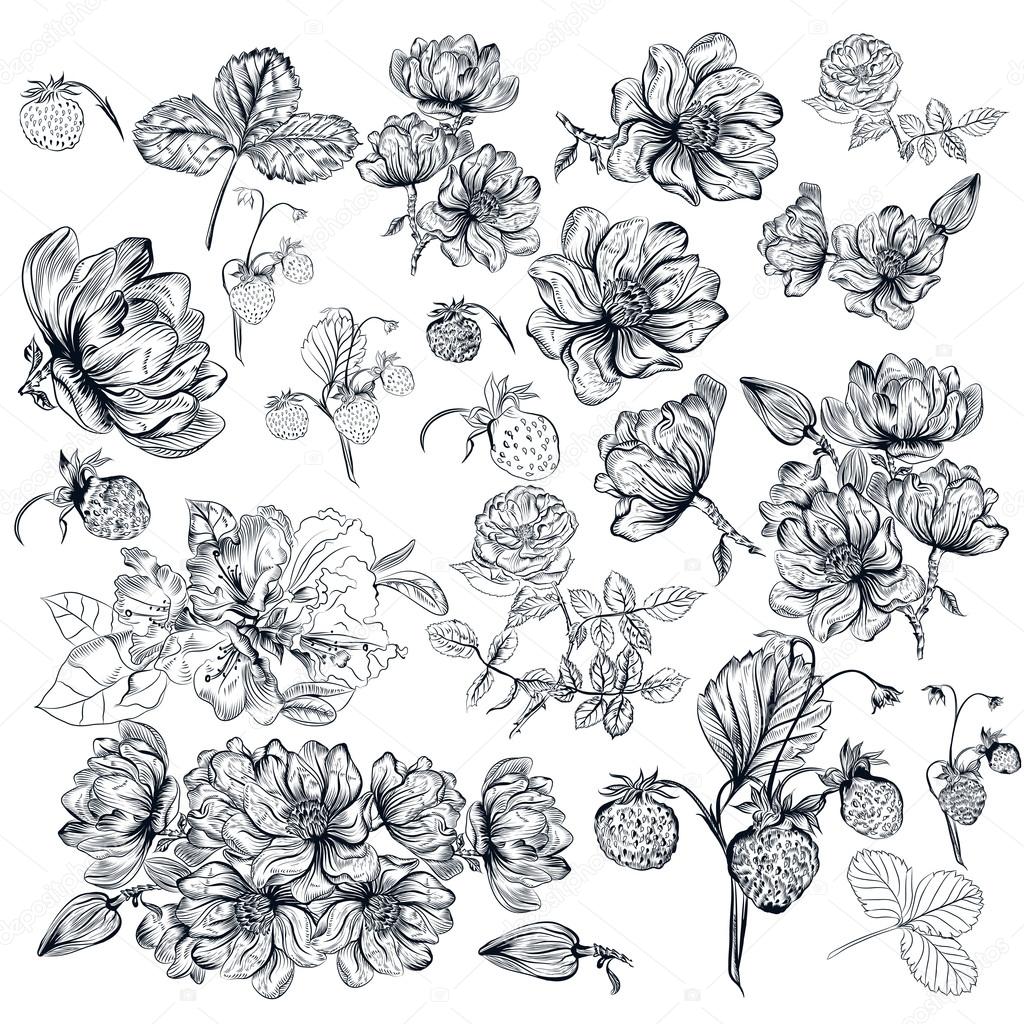 Vector pack of engraved high detailed flowers for design Stock Vector ...