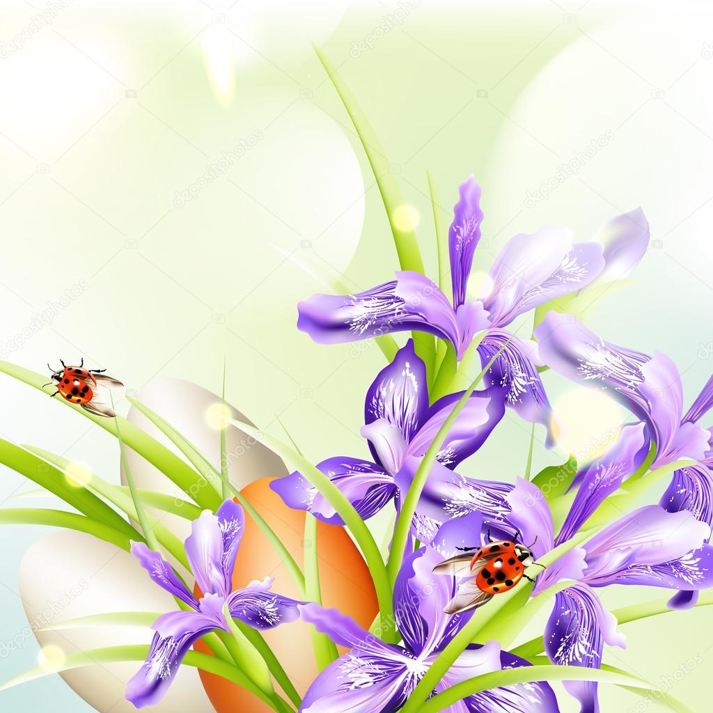 Easter greeting background with eggs and ladybugs and flowers Stock ...