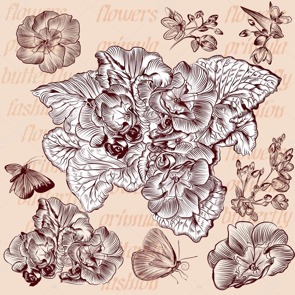 Engraved flowers set for design Stock Vector Image by ©MashaKotscur ...
