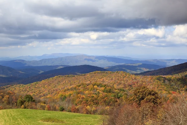 Max patch bald Stock Photos, Royalty Free Max patch bald Images ...