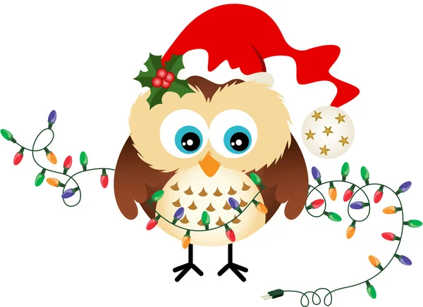 Cristmas owls — Stock Vector © yuliya_m #7948589