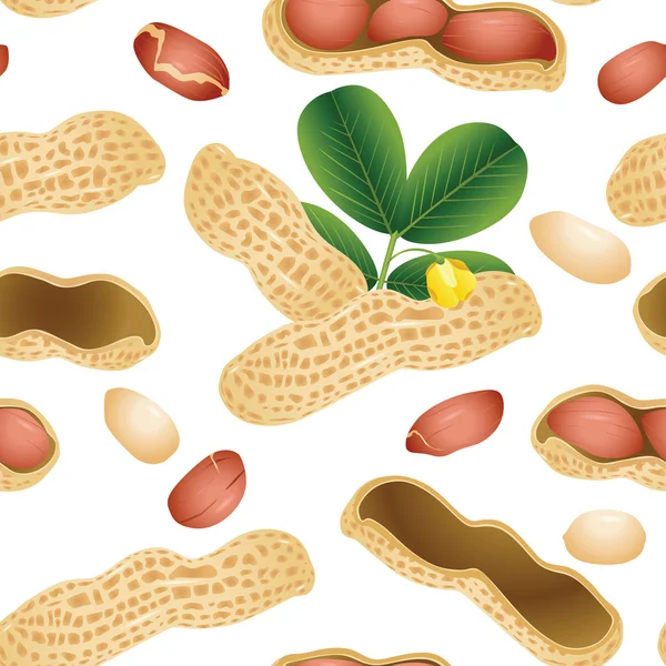 Vector seamless background peanut nut. A pattern of shelled peanuts ...