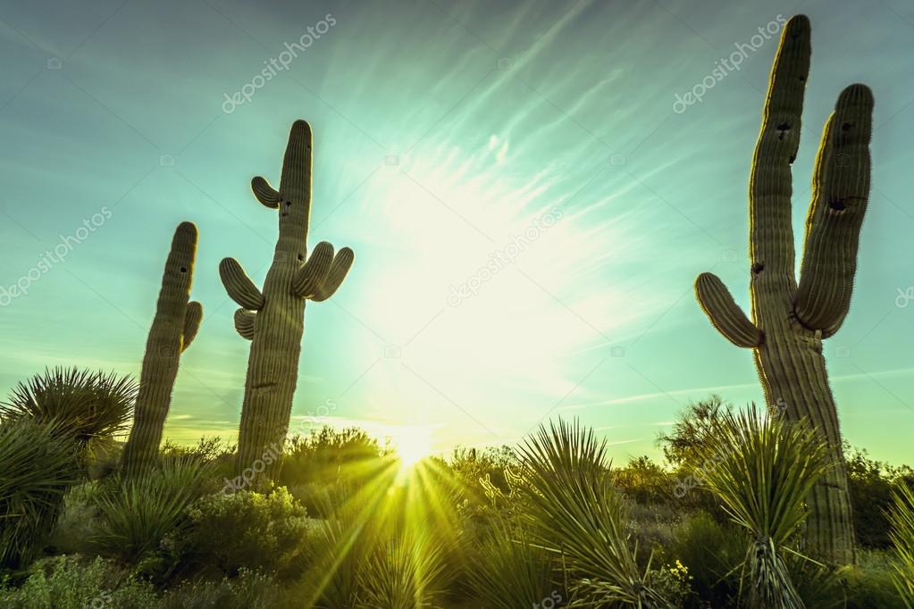 Desert sunset over valley of the Sun — Stock Photo © AVFC #61300037