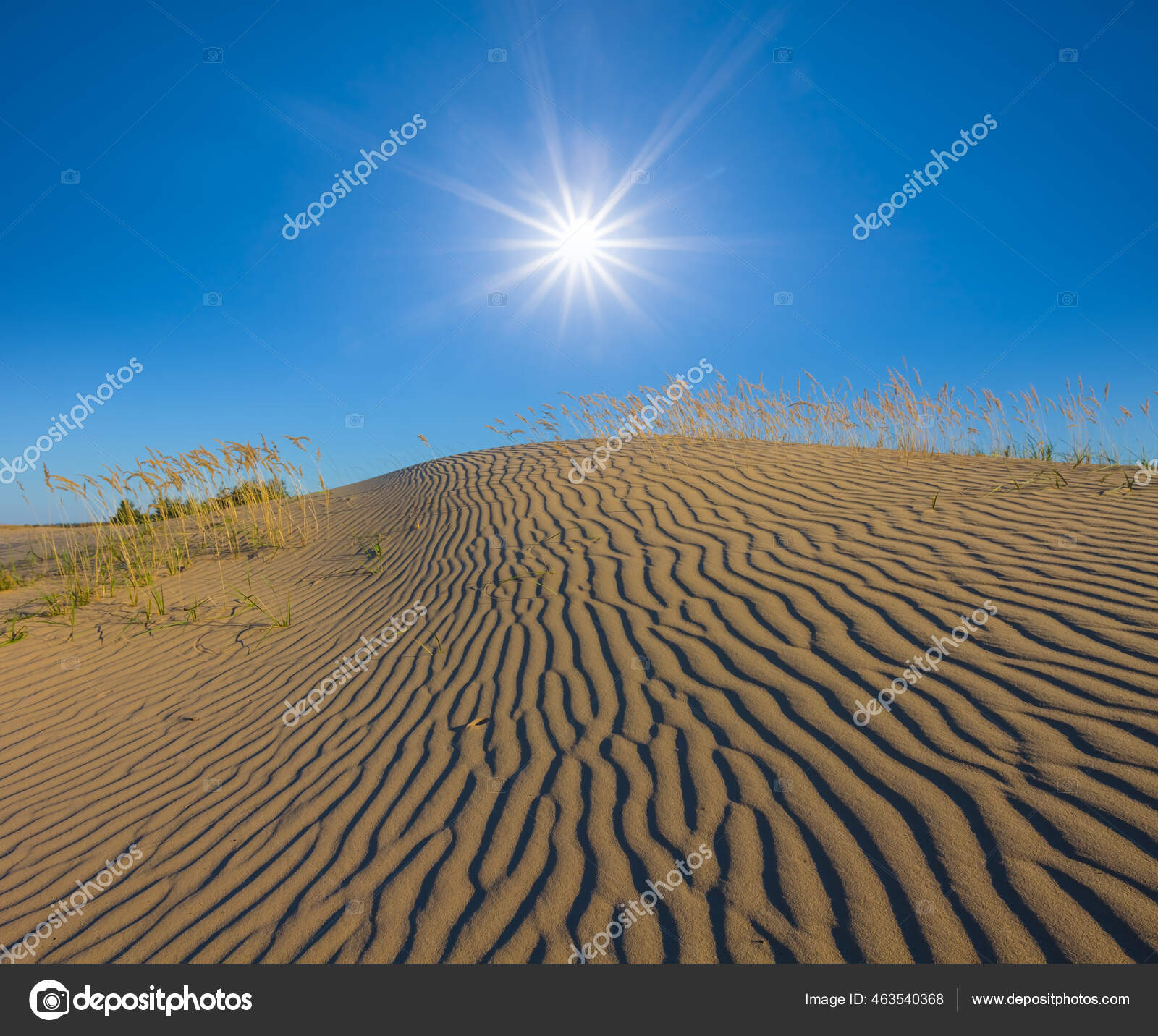 Sandy Dune Sparkle Sun Natural Sandy Desert Background Stock Photo by ...
