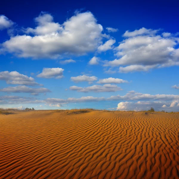 Sandy Dune Sparkle Sun Natural Sandy Desert Background Stock Photo by ...