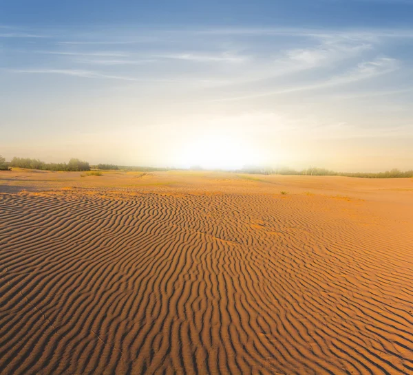 Evening sandy desert landscape Stock Photo by ©york_76 156984674