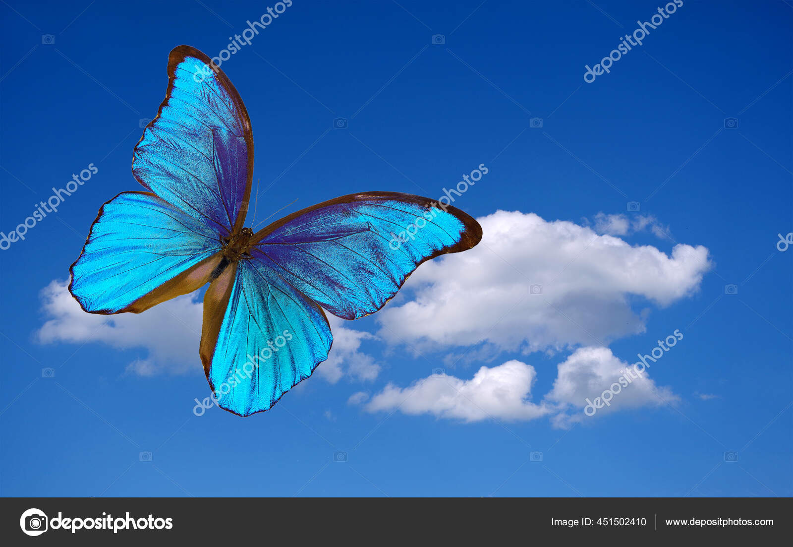 Blue Butterfly Flying In The Sky