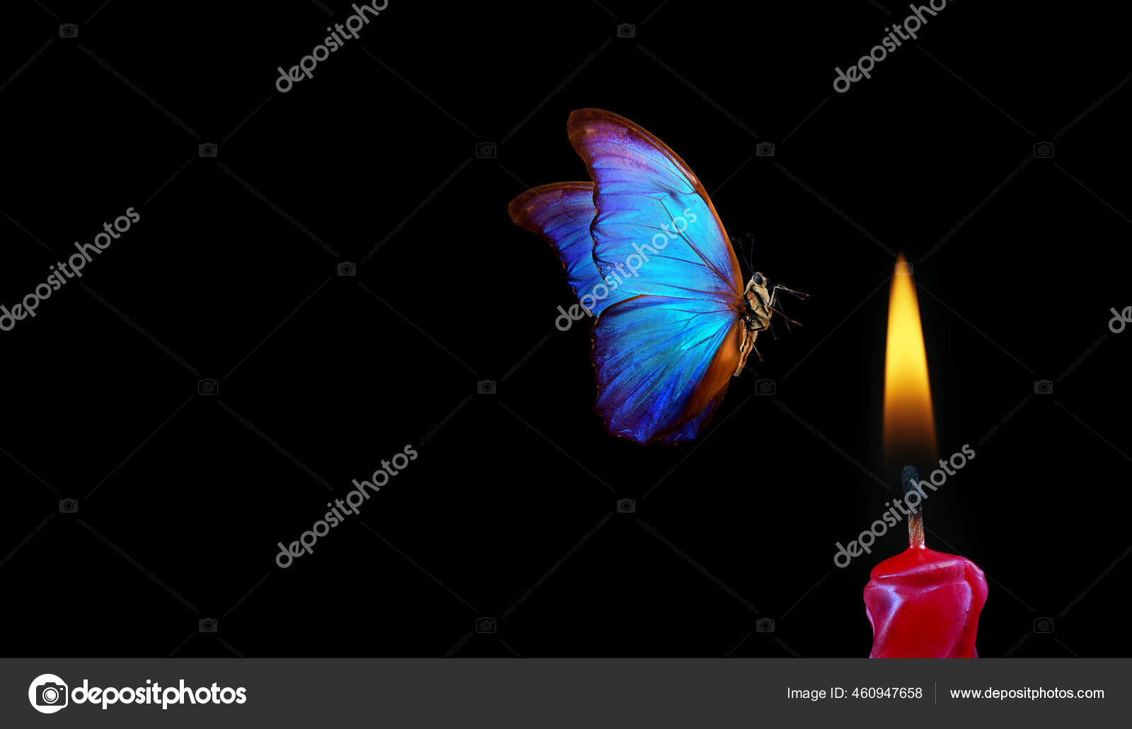 Butterfly Flying Light Candle Bright Tropical Morpho Butterfly Candle ...
