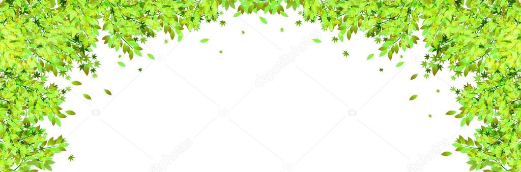 Fresh green leaf tree background Stock Vector Image by ©JBOY24 #102673734