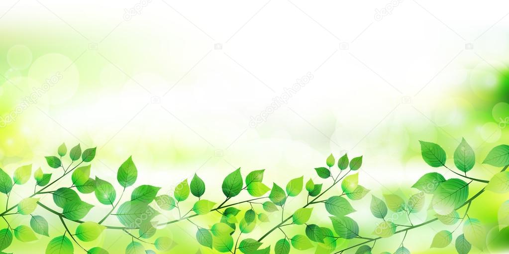 Leaf tree fresh green background Stock Vector by ©JBOY24 103804888