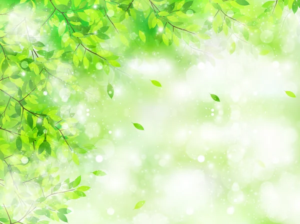 20,110,850 Ilustraciones de Verde tierno de Stock | Depositphotos