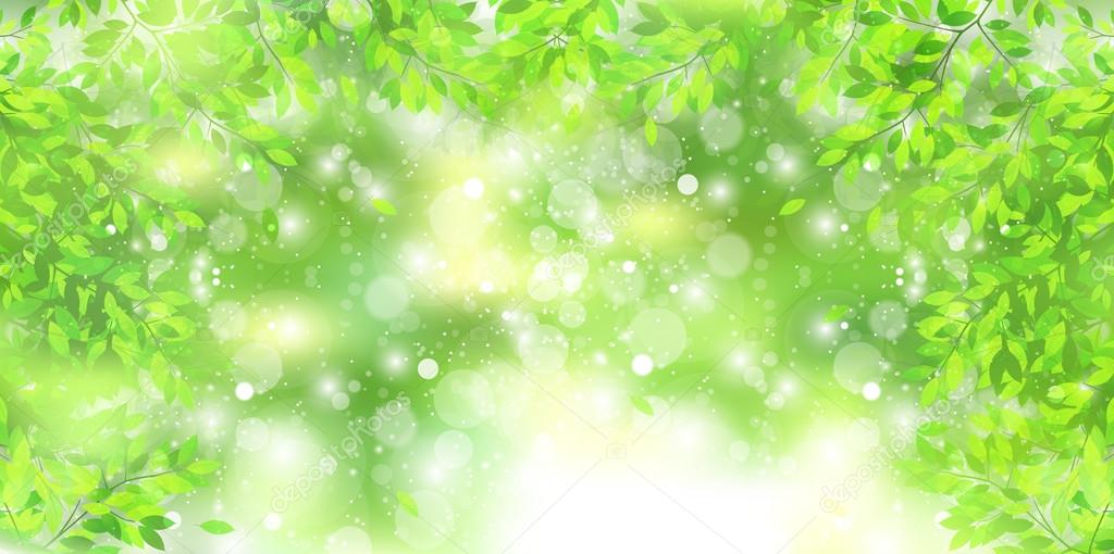 Early summer background leaf Stock Vector Image by ©JBOY24 #72101561