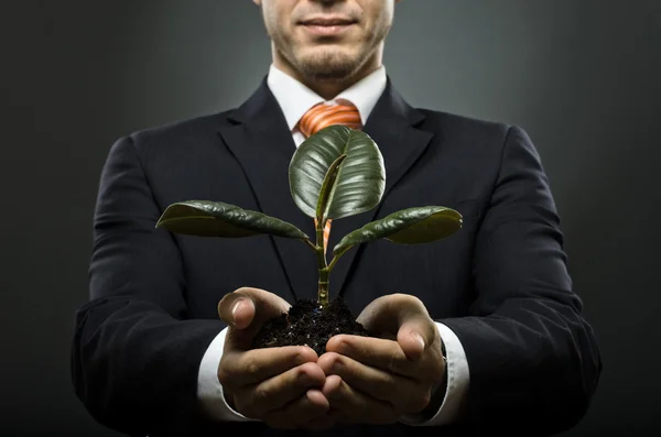 Sprout - Stock Image - Everypixel